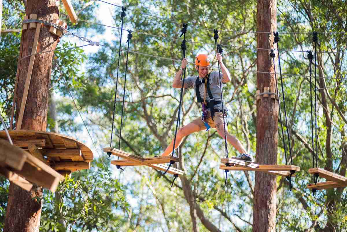 High Ropes Adventure Coming to St Ives Showground - Ku-ring-gai Living