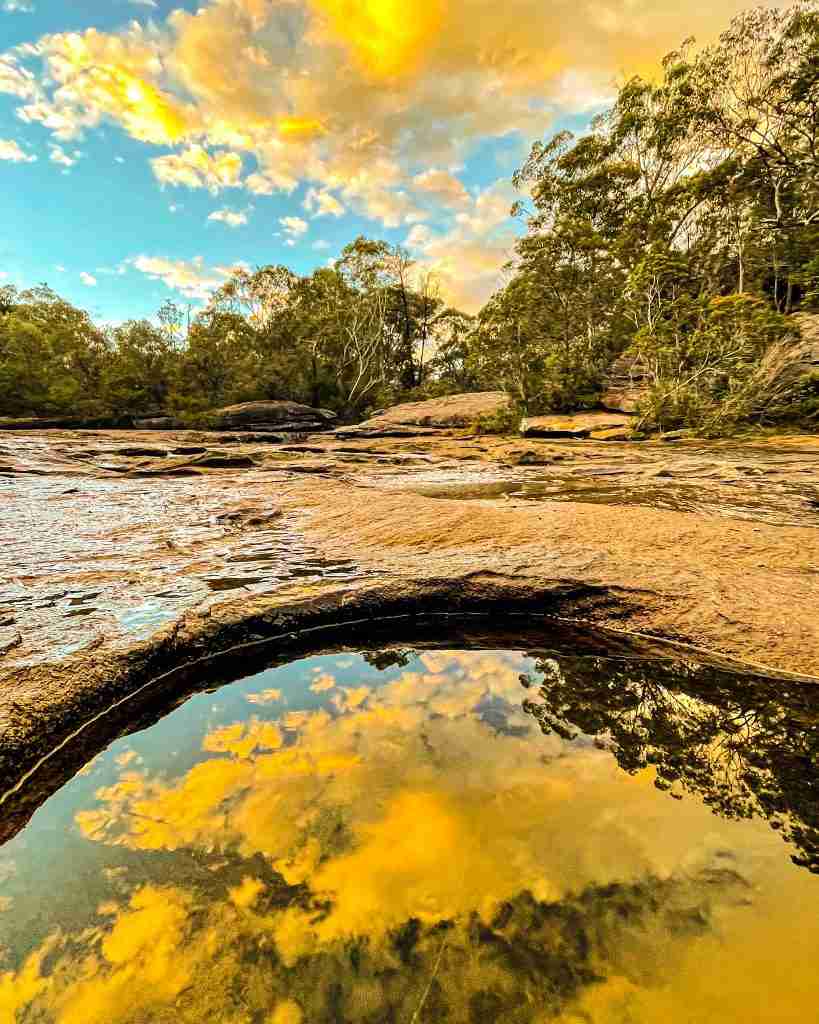 Meet Robyn Connacher: One of Ku-ring-gai's Most Inspirational ...