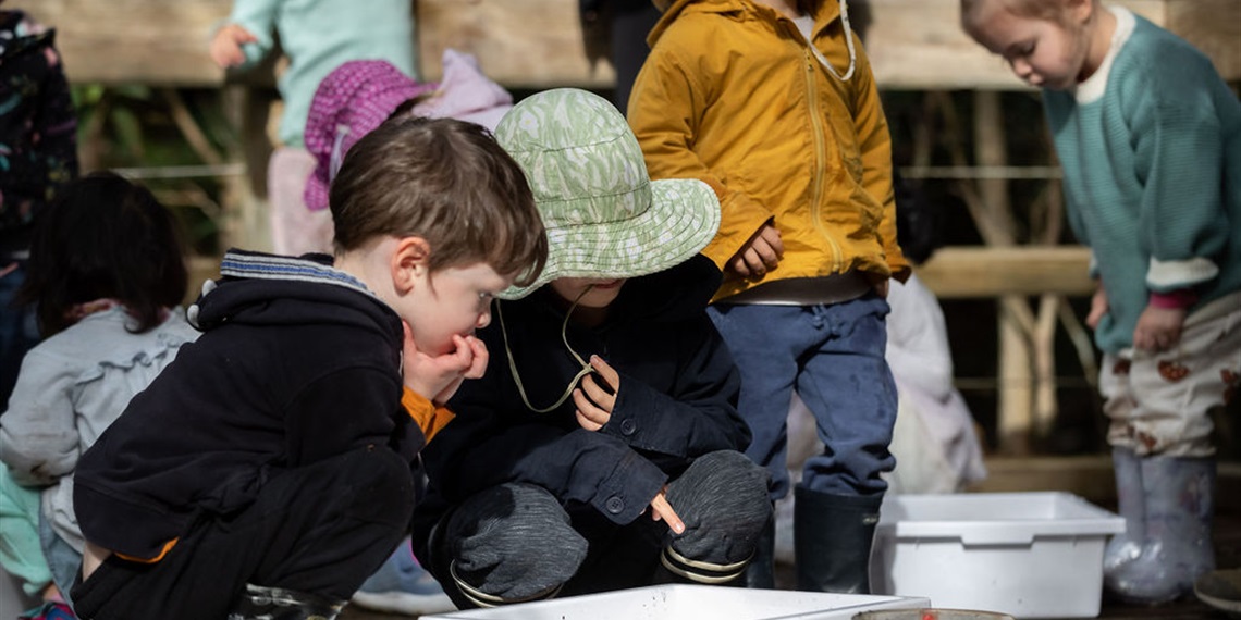 Nature Play - Yabbying in the creek - Ku-ring-gai Living