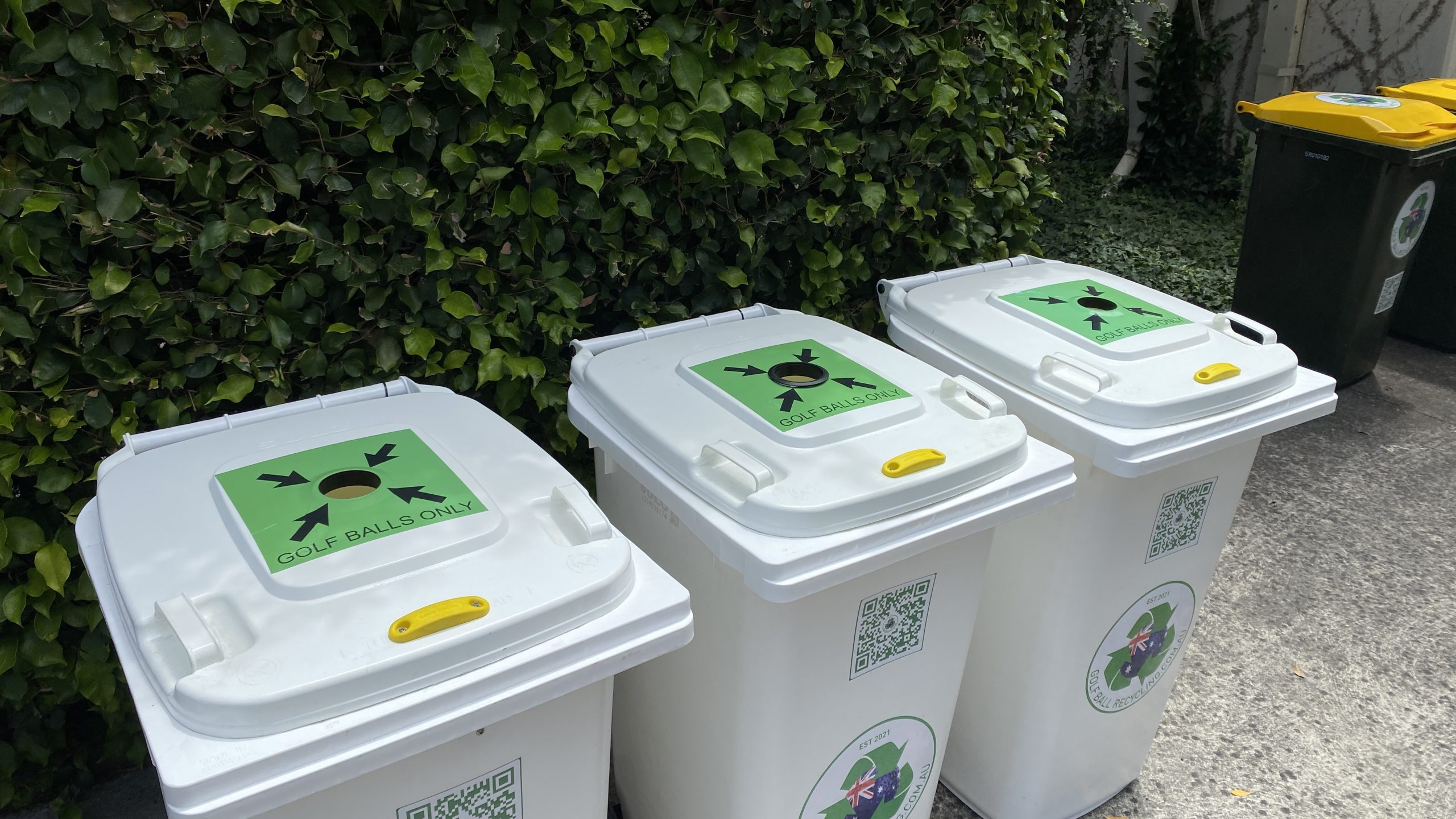 Roseville Golf Club's New Recycling Program Takes Off - Ku-ring-gai Living