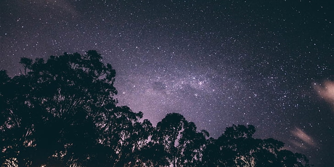 Picnic by starlight - A dark skies event - Ku-ring-gai Living