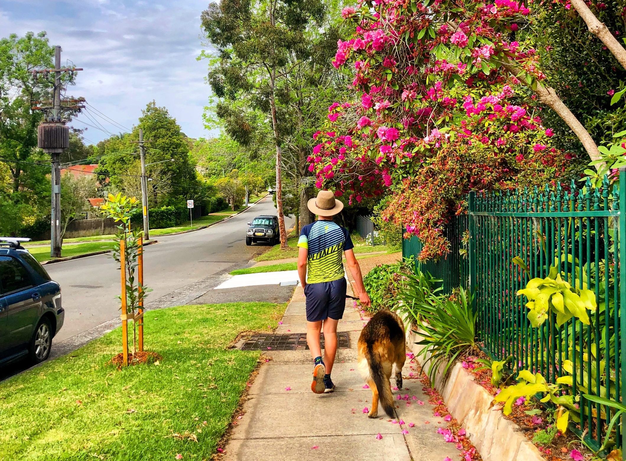 Meet Your New Look Ku-ring-gai Council - Ku-ring-gai Living