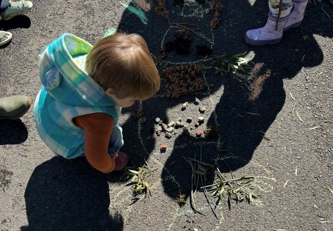 The Best Places to Visit in Killara - Ku-ring-gai Living